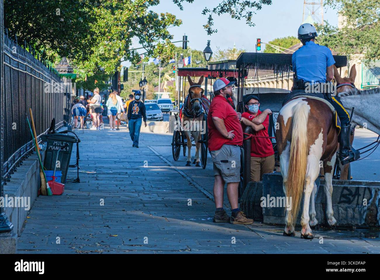 NEW ORLEANS, LA, USA - OCTOBER 26, 2020: Buggy Drivers Talking to Cop ...