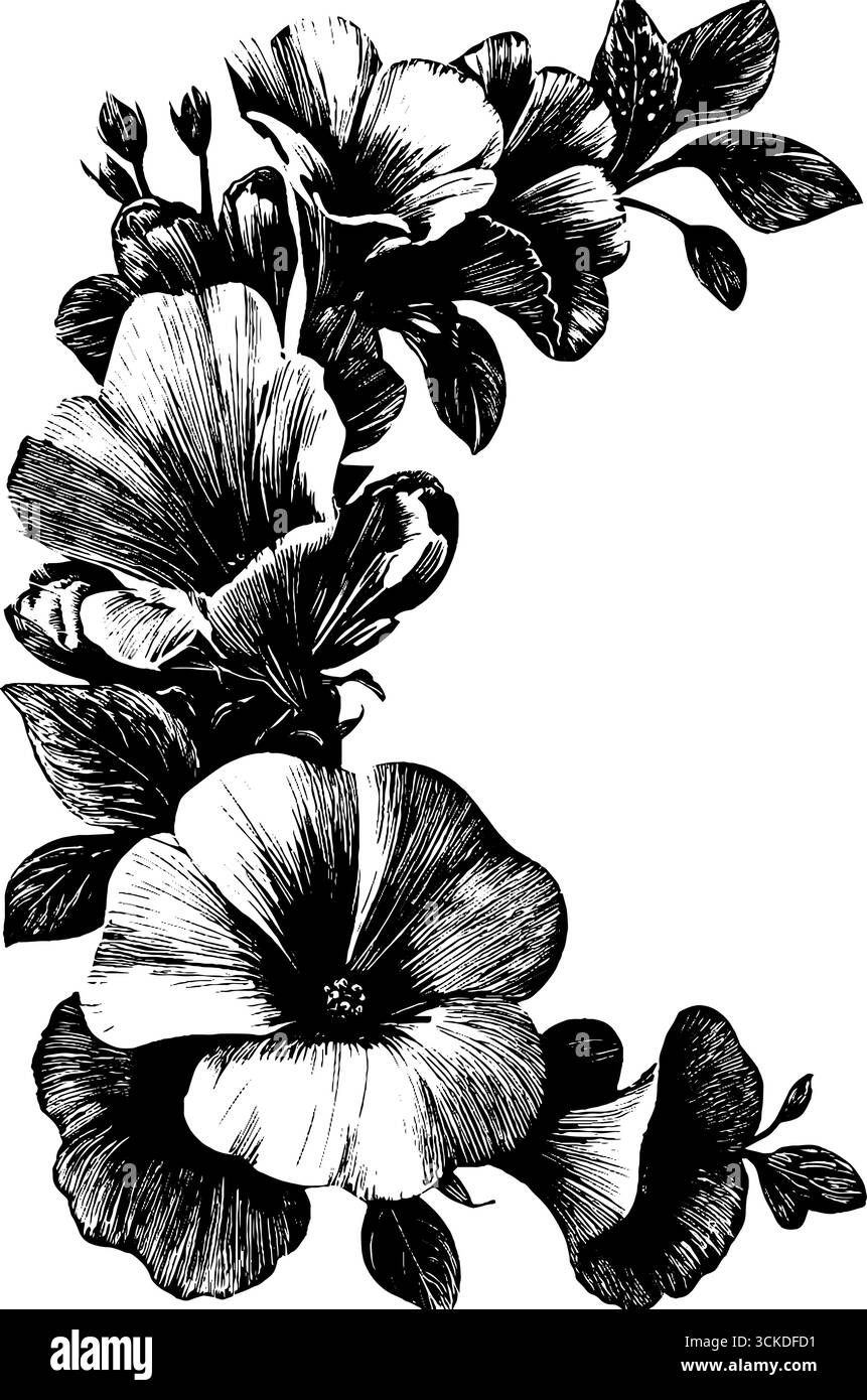 Vintage floral engraving design for elegant page layout Stock Vector ...
