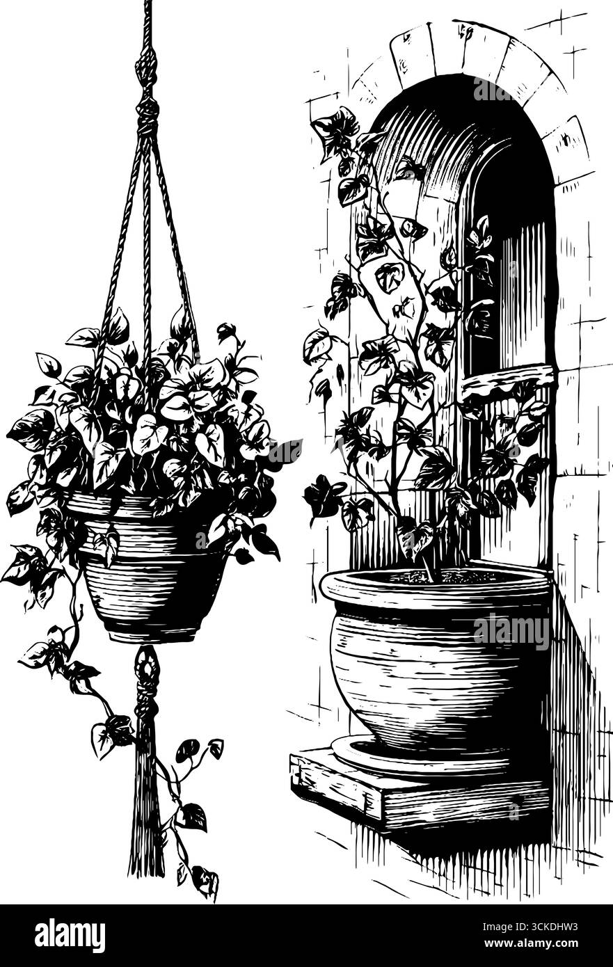 Vintage engraved illustration of hanging and potted planters for retro ...