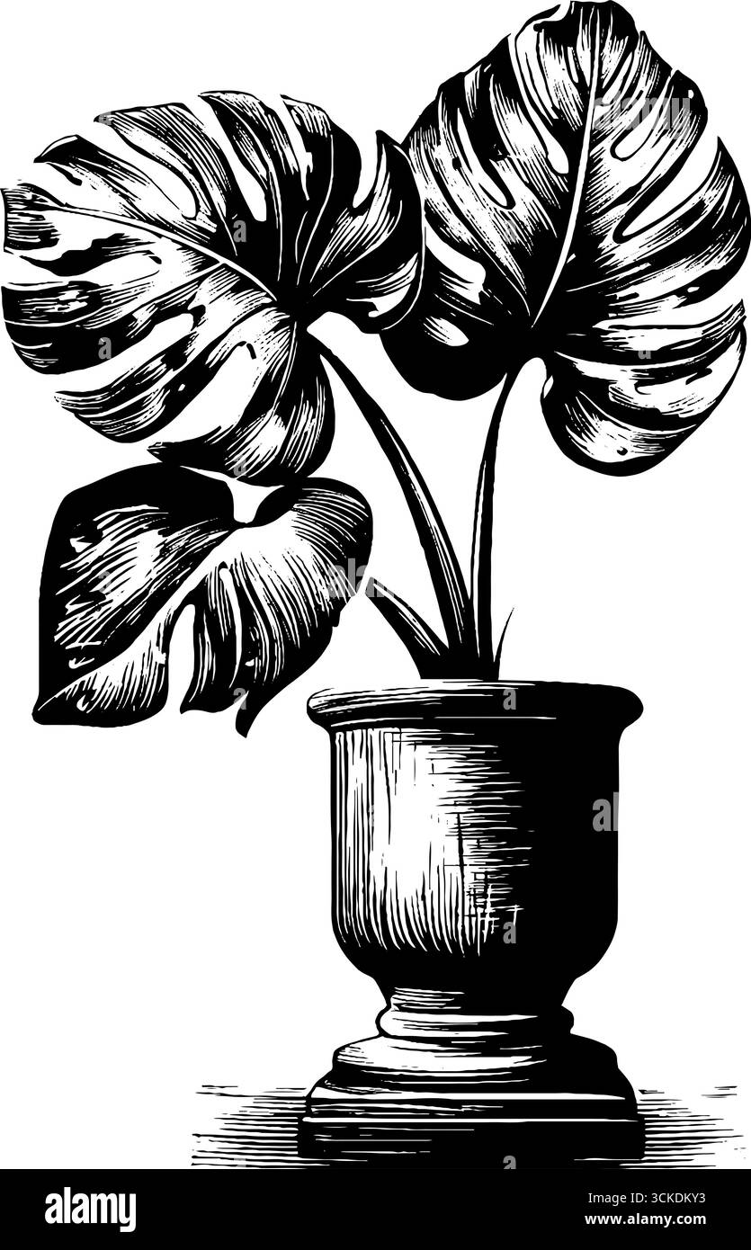 Vintage engraved monstera leaf set in pot - retro botanical design ...