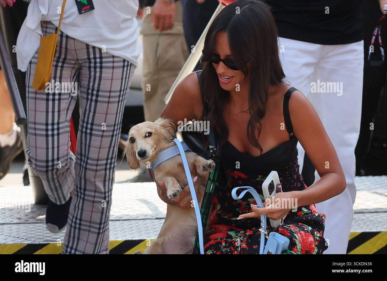 Formula 1 Pirelli Gran Premio d'Italia 2025 Monza- F1 Italy Grand Prix ...