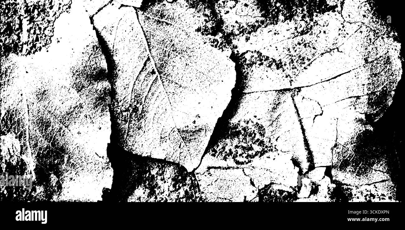 Grunge texture of dried leaf litter on soil with intricate vein ...