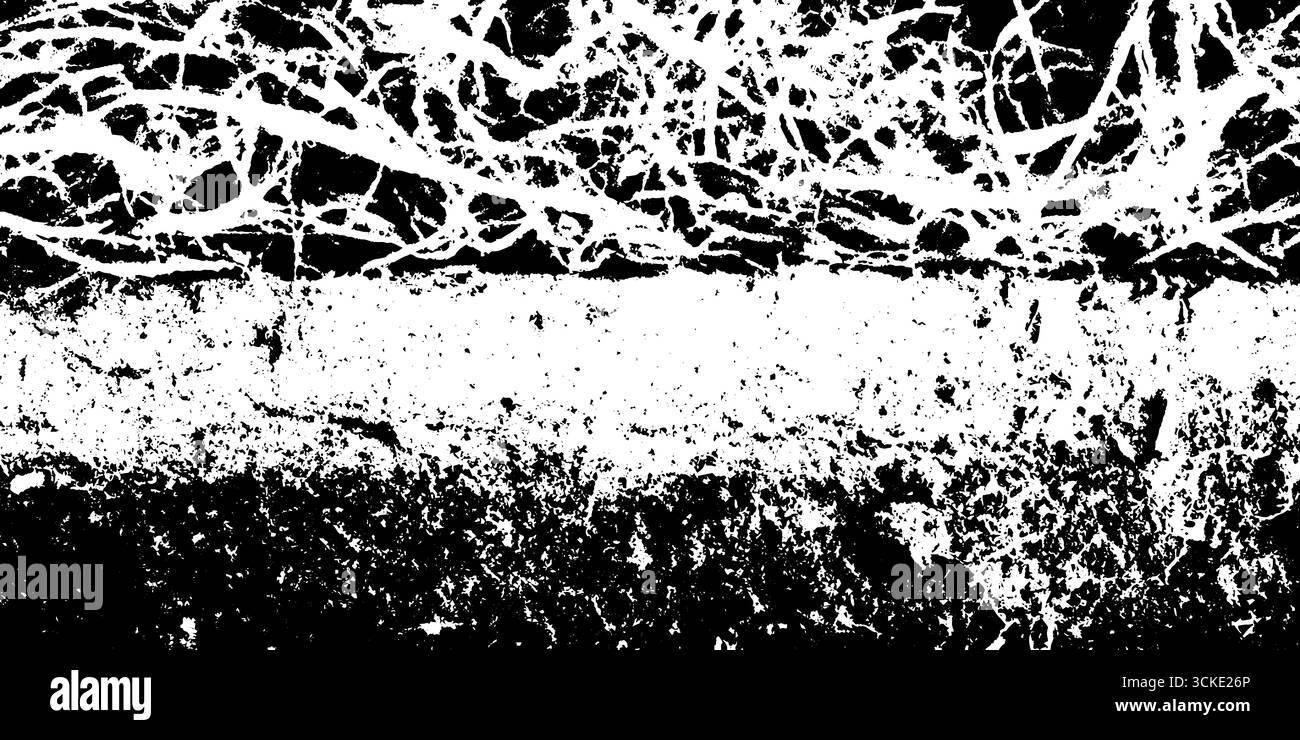 Dried grass turf cross section with soil texture for design overlay ...
