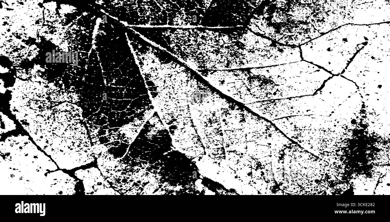 Cracked soil autumn leaf Stock Vector Images - Alamy