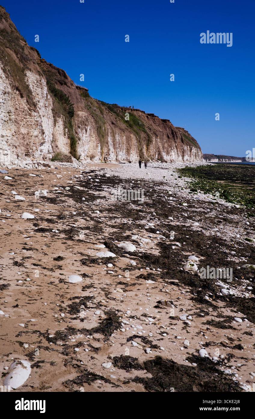 Chalk cliffs steep coastal erosion hi-res stock photography and images ...