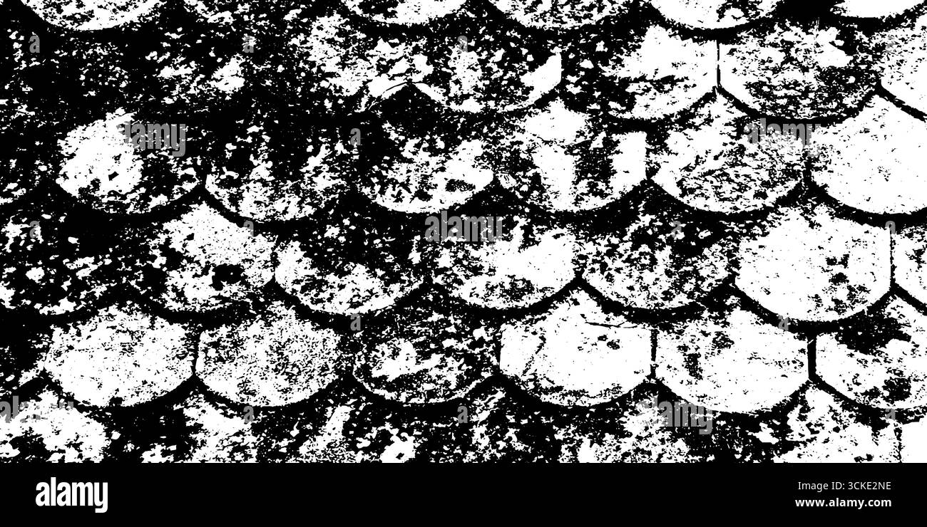 Grungy fish scale shingle roof with moss and distress overlay for ...