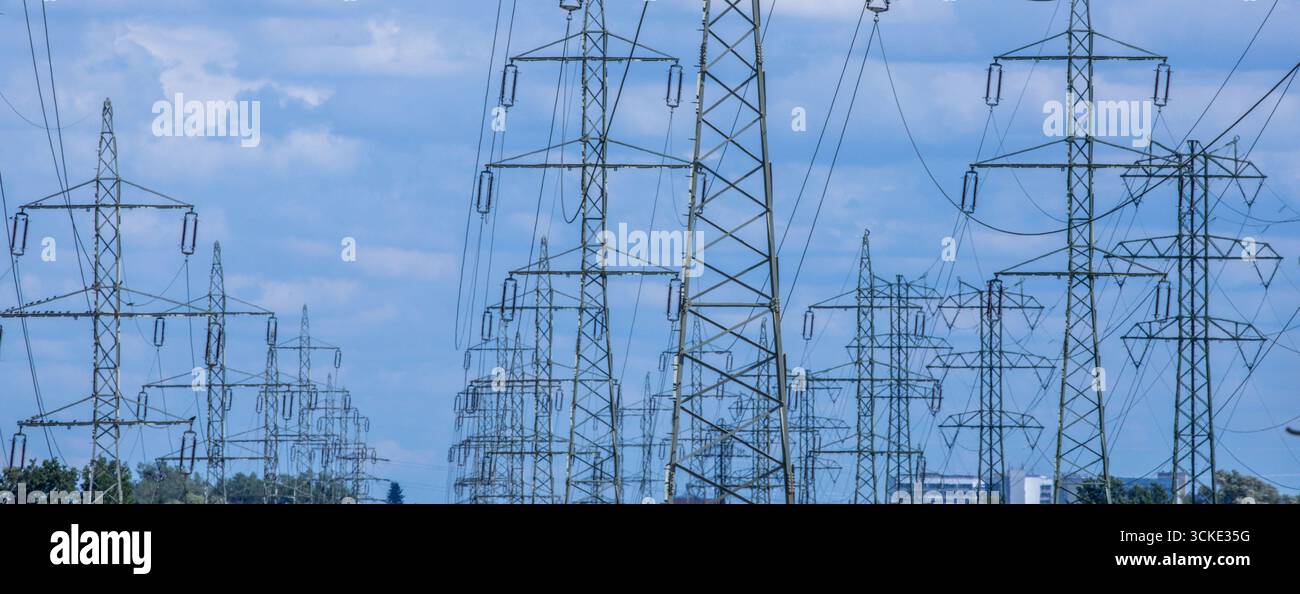 03 September 2025, Mecklenburg-Western Pomerania, Klein Rogahn: Pylons ...
