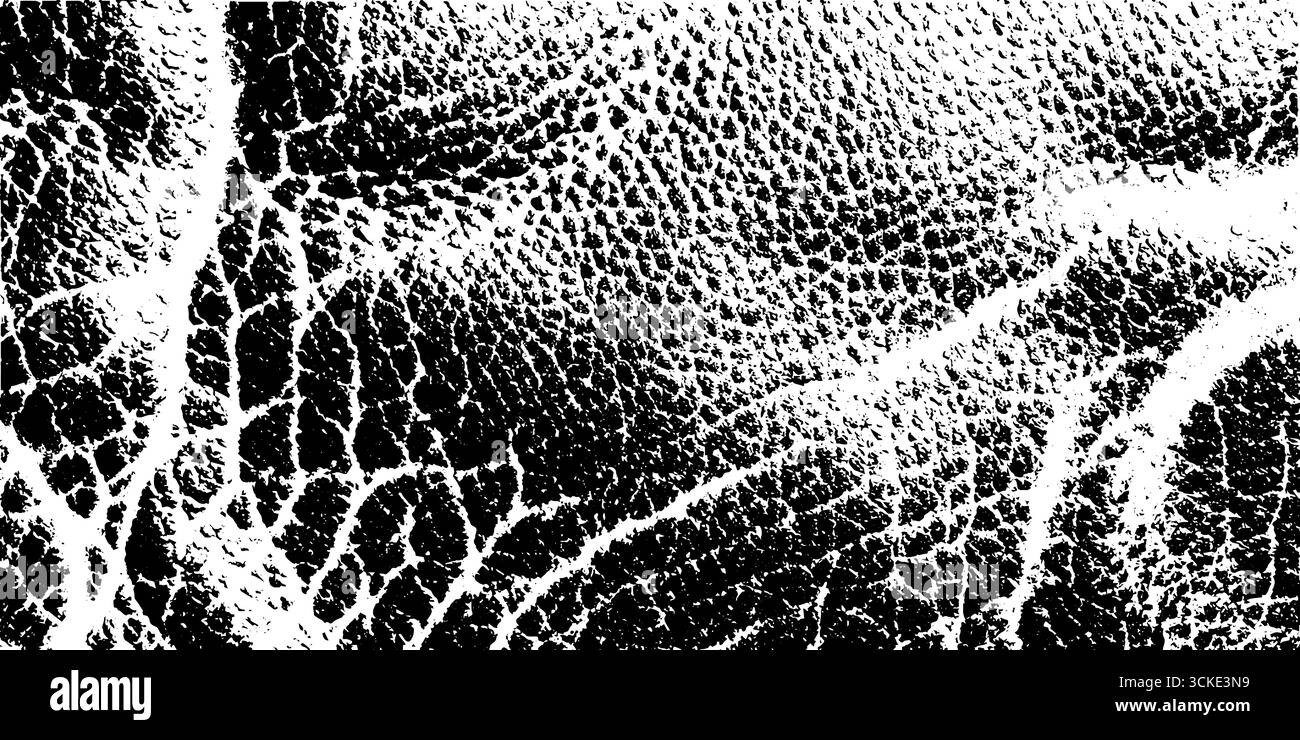 Textured pebbled leather grain with raised pebble shapes for design ...