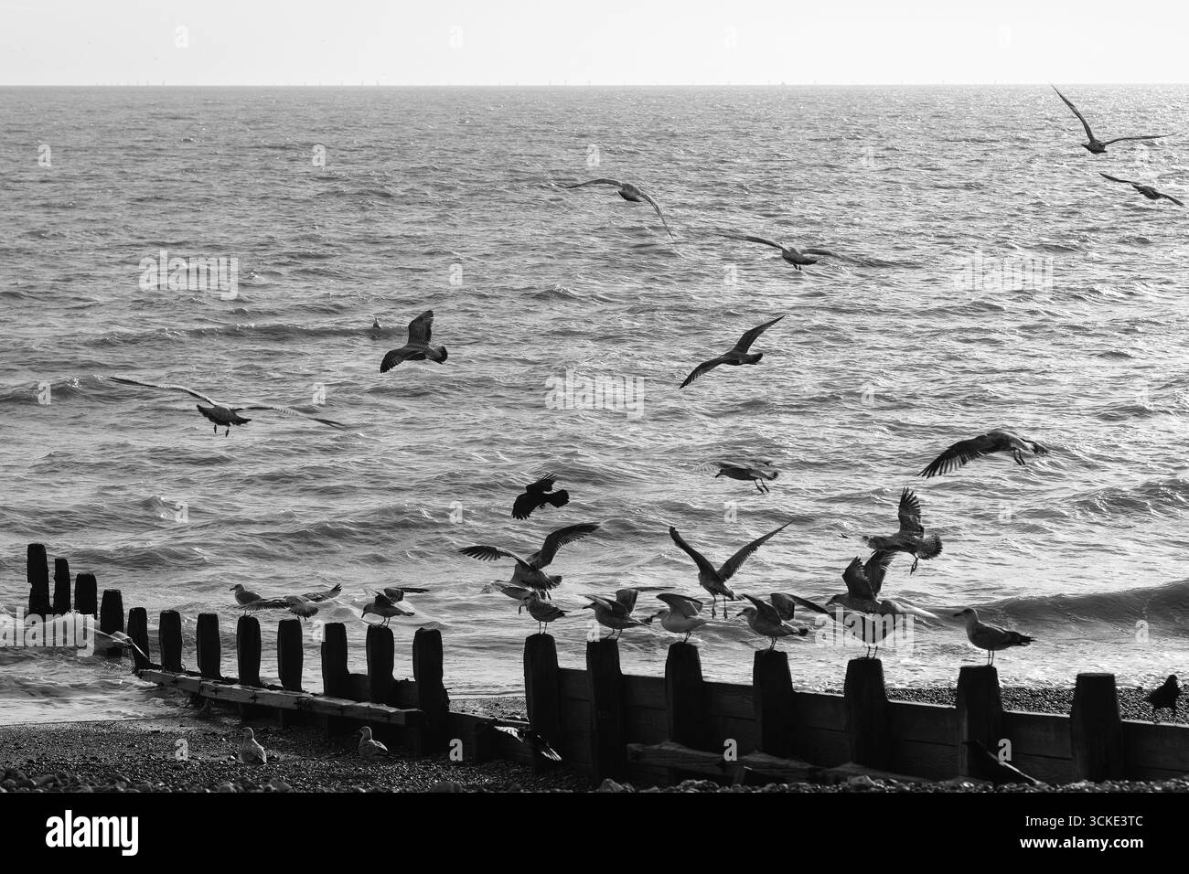 WORTHING SEASIDE TOWN WEST SUSSEX BEACH HUTS CHALETS PIER Stock Photo ...