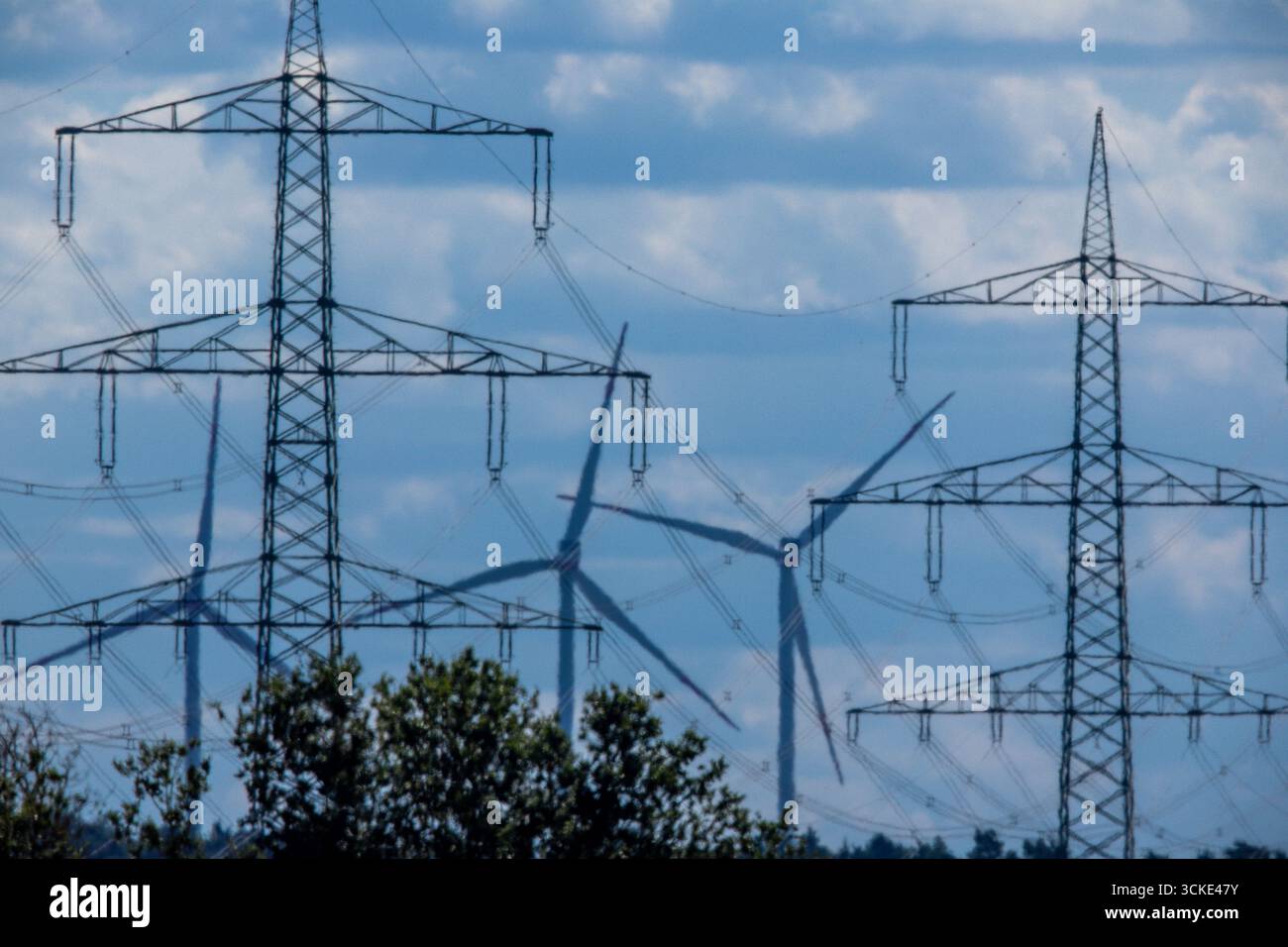 03 September 2025, Mecklenburg-Western Pomerania, Klein Rogahn: Pylons ...