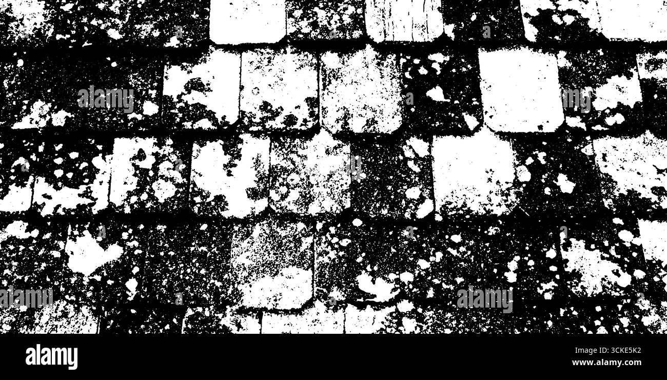 Vintage tiled roof slate pattern with lichen patches for rustic design ...