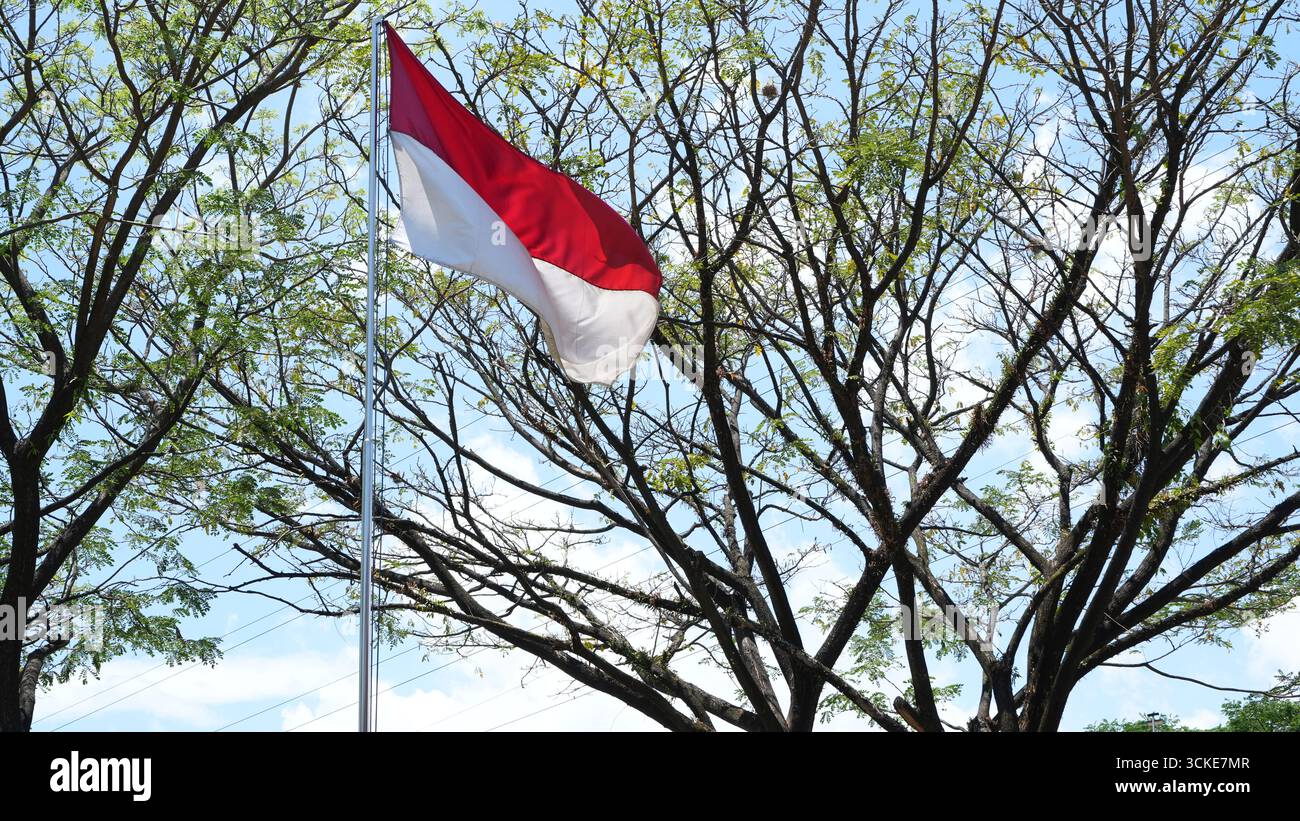 The Indonesian flag waves proudly, its red and white a timeless symbol ...