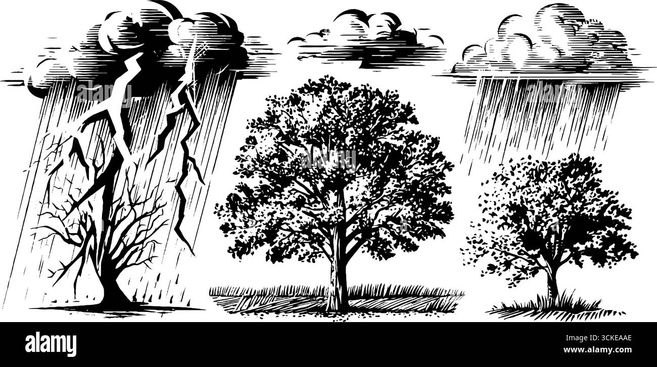 Engraved illustration set of lightning and rain scenes with trees for ...