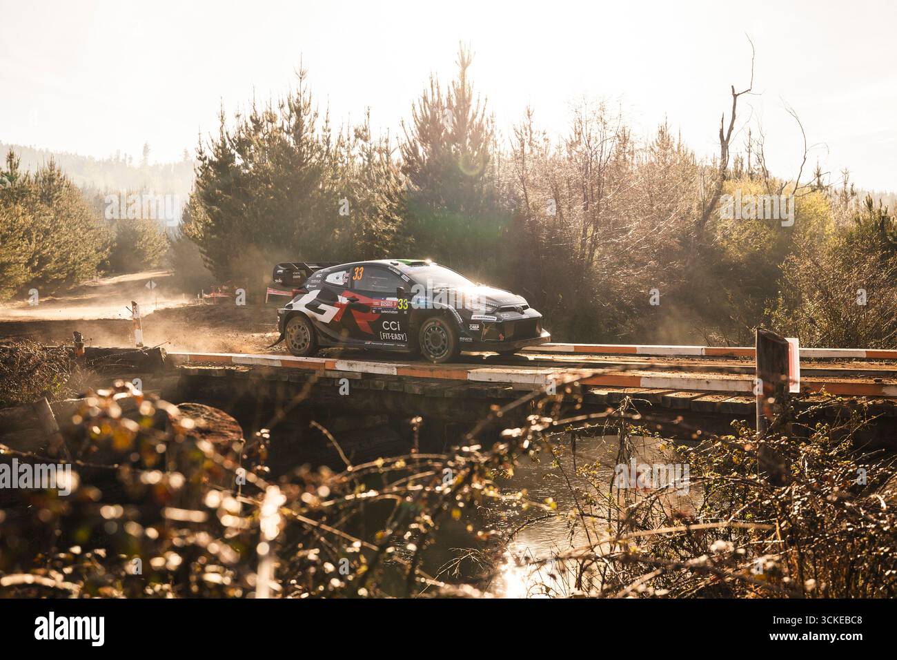 33 Elfyn EVANS, Scott MARTIN, Toyota GR Yaris Rally1, action during the ...