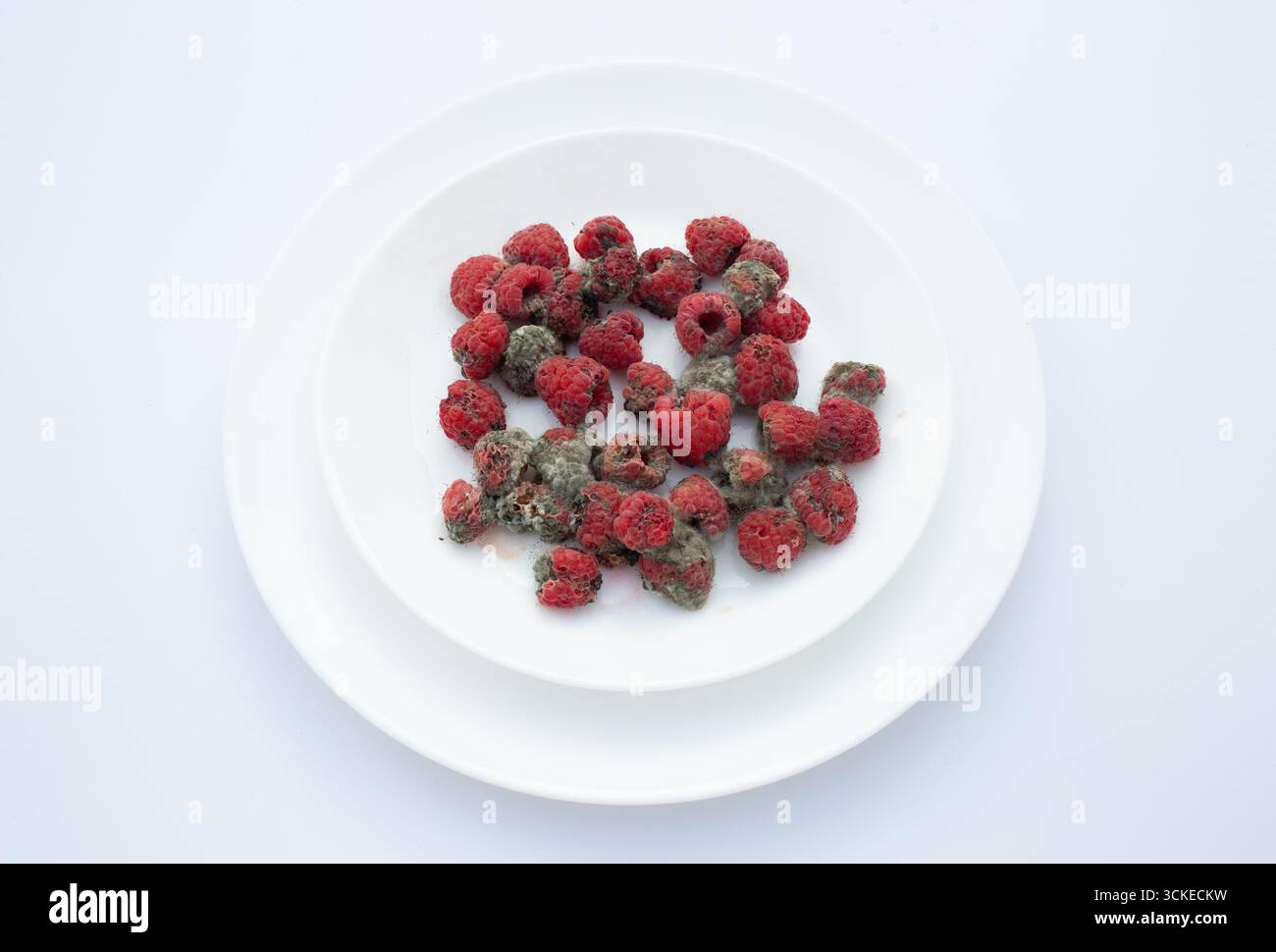 Spoiled raspberries plate hi-res stock photography and images - Alamy
