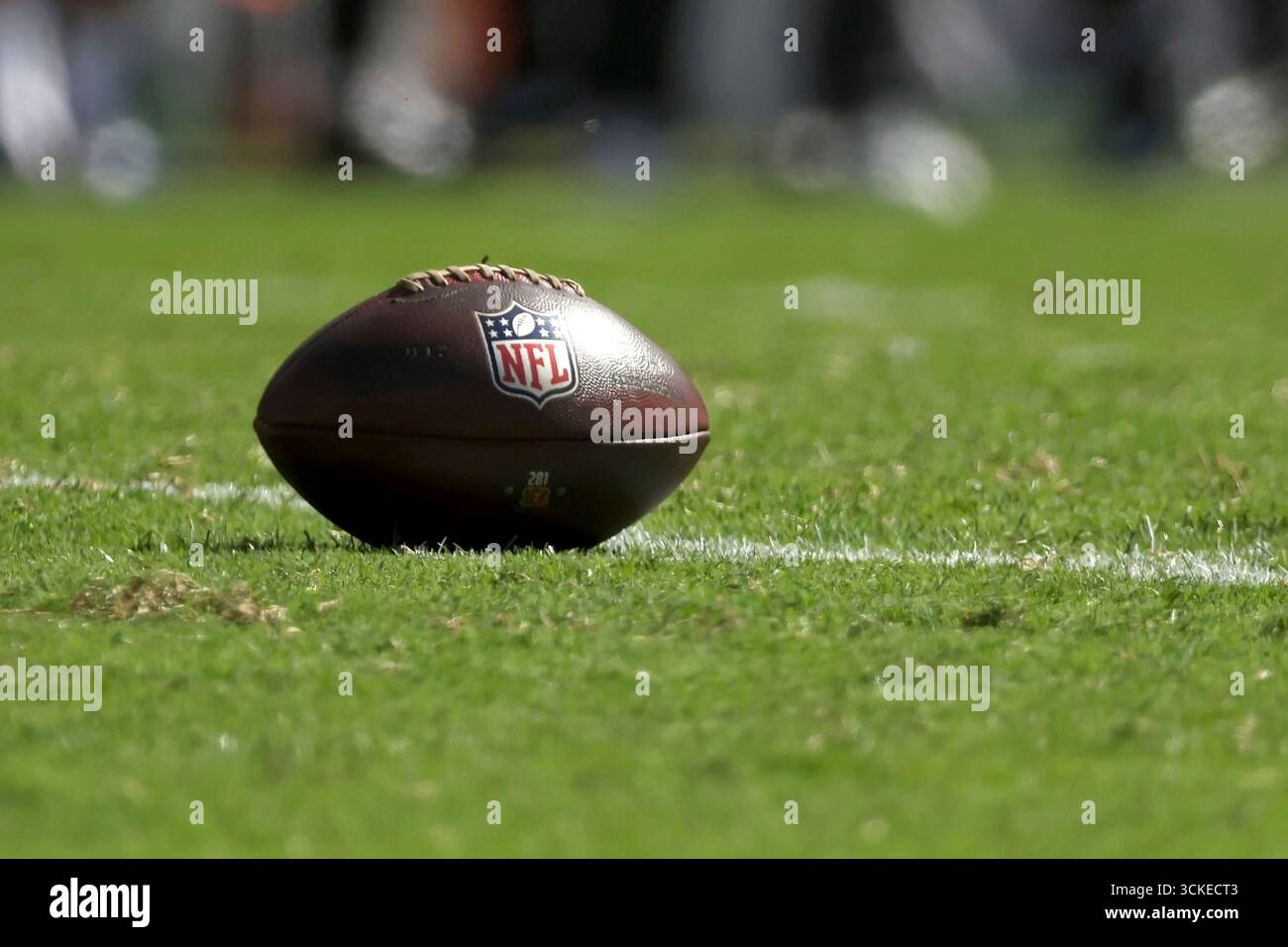 An NFL football rests on the field during an NFL football game between ...