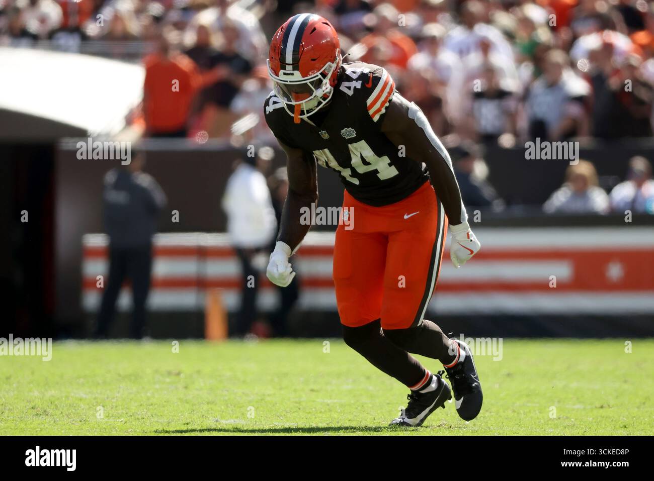 Cleveland Browns tight end Harold Fannin Jr. (44) runs up the field ...