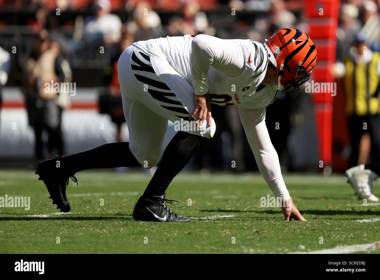 Cincinnati Bengals defensive end Trey Hendrickson (91) lines up for a ...