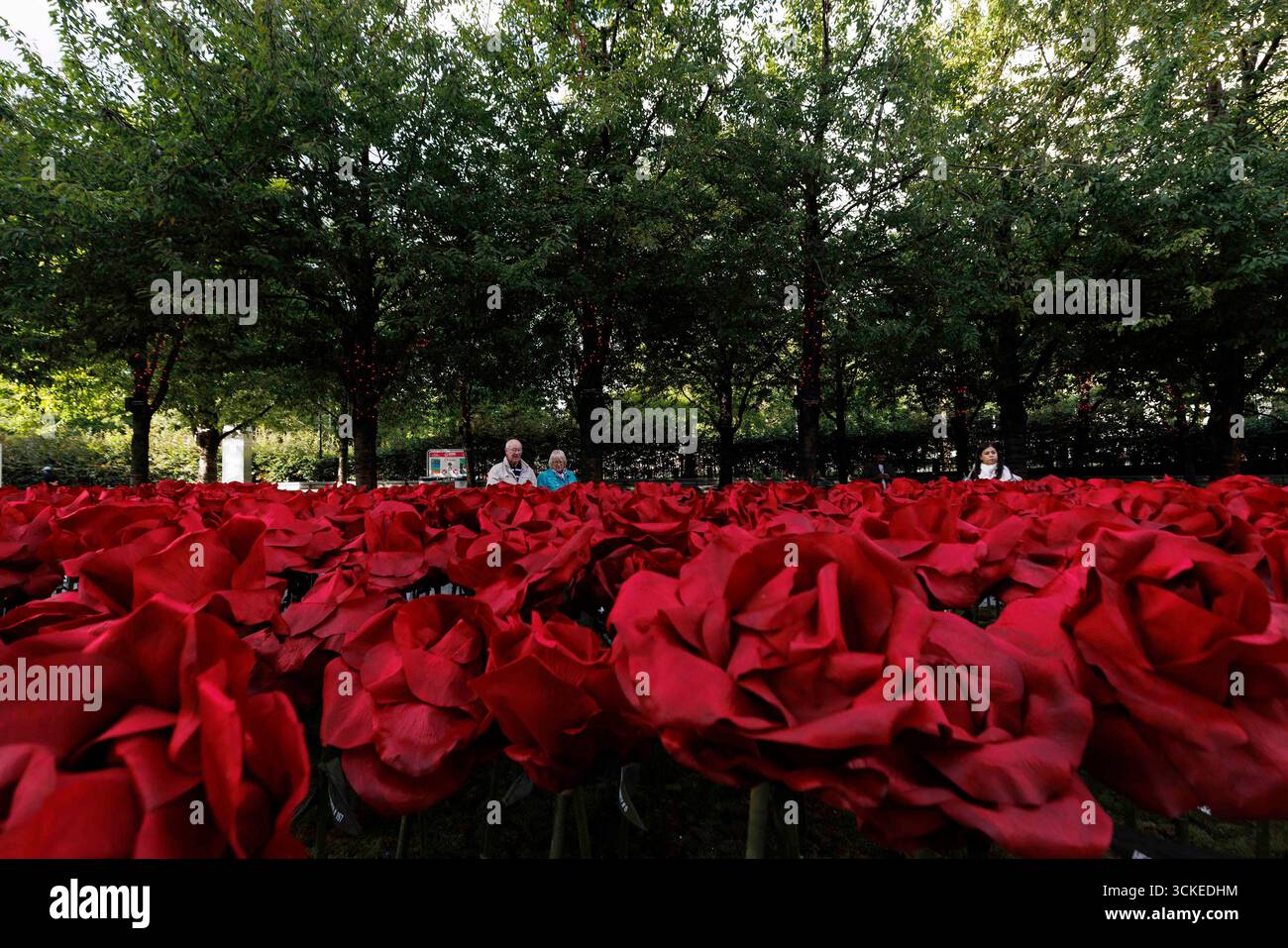 EDITORIAL USE ONLY An installation titled The Trail of Roses, featuring ...