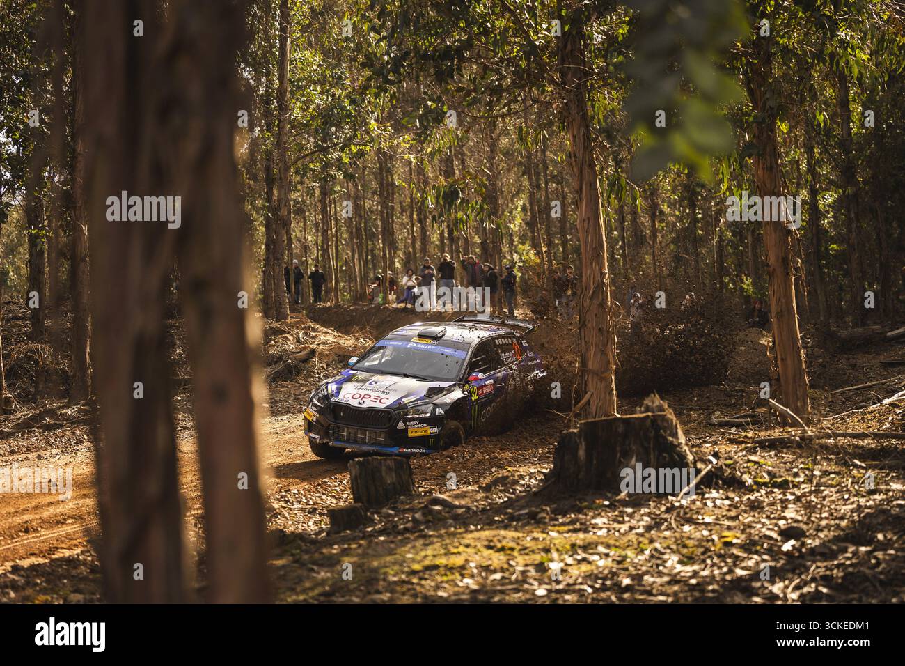 32 Jorge MARTÍNEZ, Ruben GARCIA, Skoda Fabia RS Rally2, action during ...