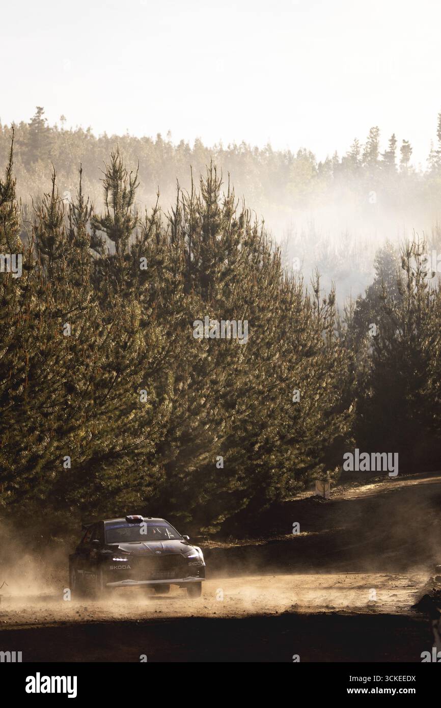 22 Gus GREENSMITH, Jonas ANDERSSON, Skoda Fabia RS Rally2, action ...