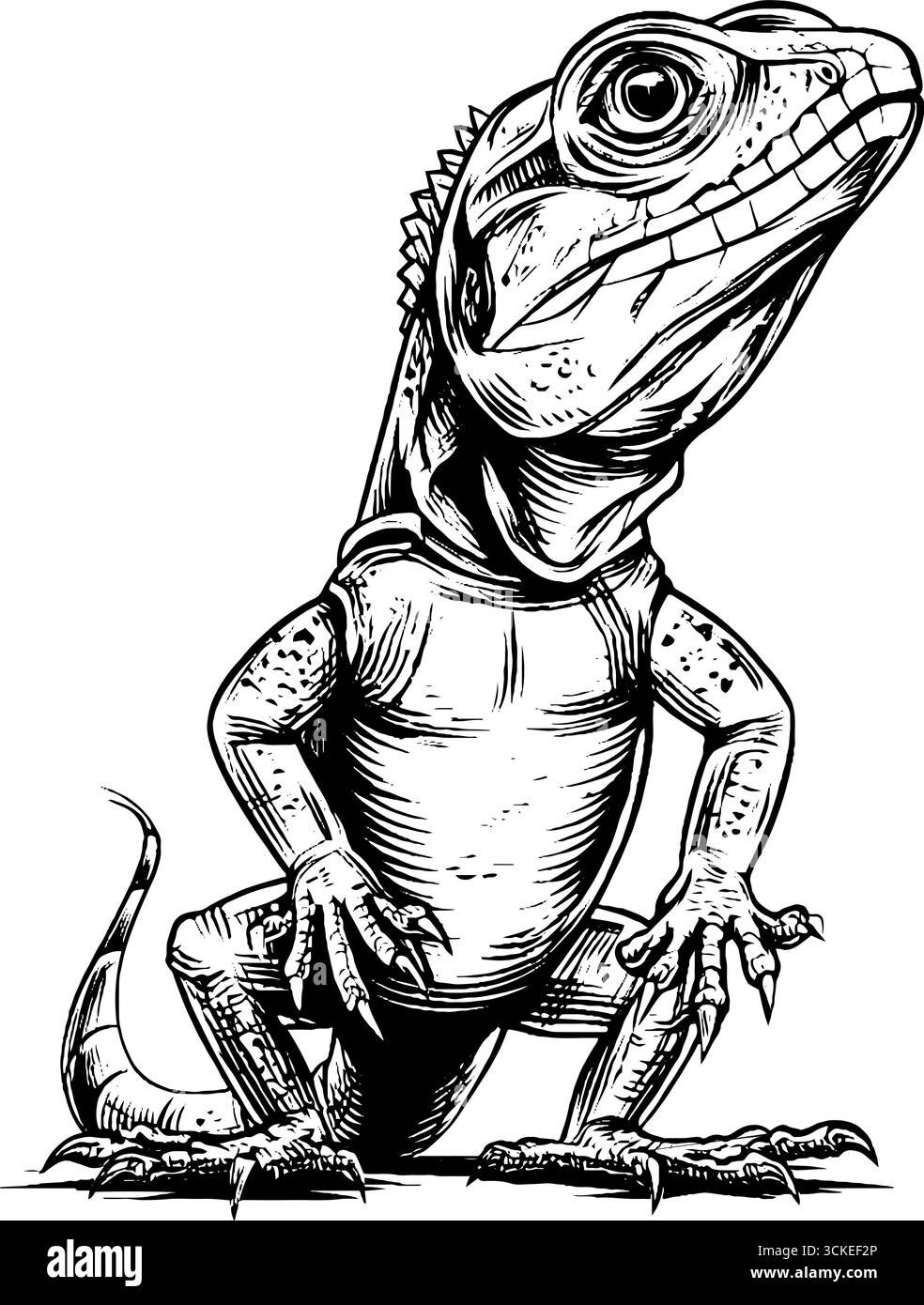 Vintage engraved illustration of basilisk lizard in bold black lines ...