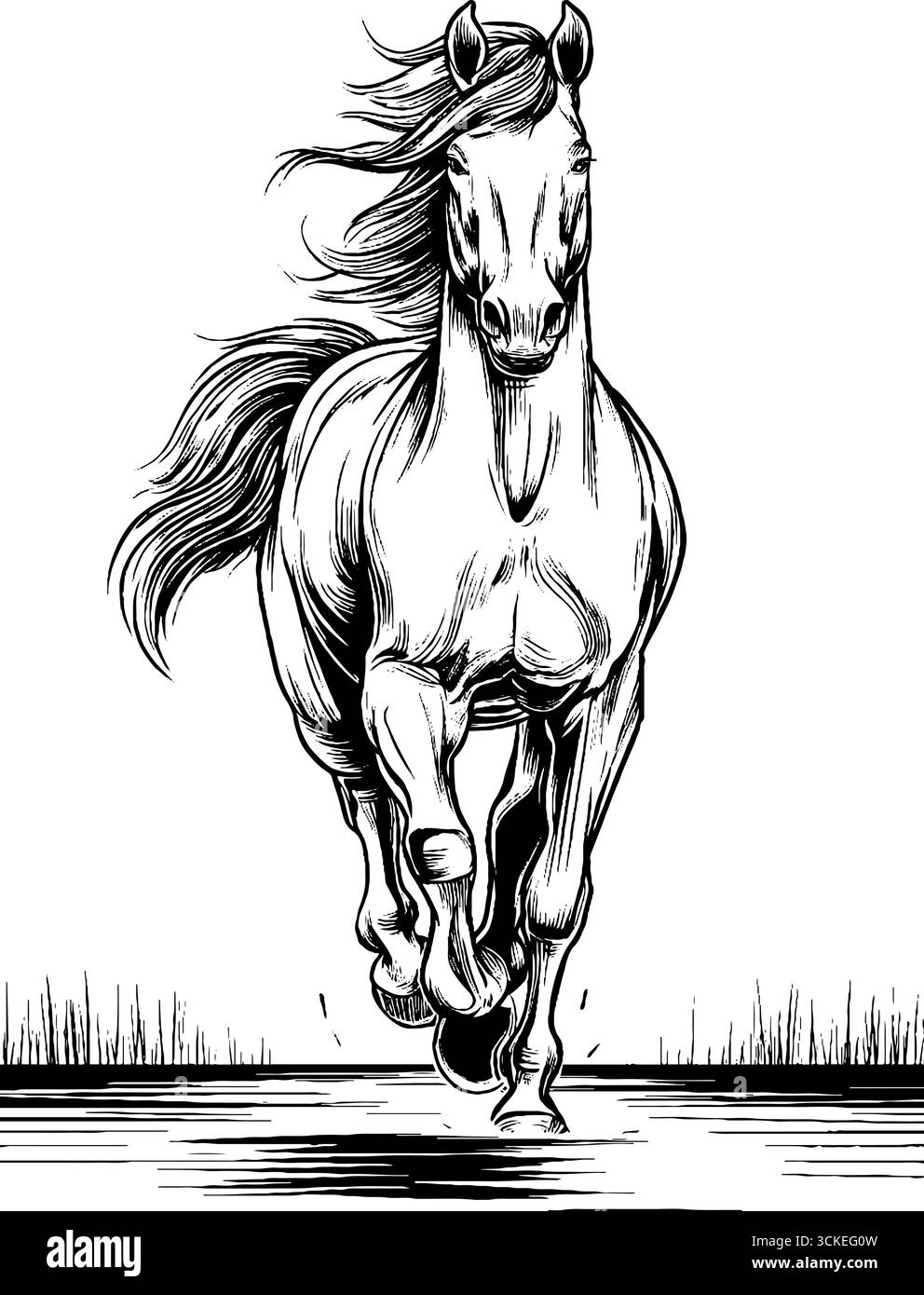 Majestic engraved illustration of centaur silhouette - detailed black ...