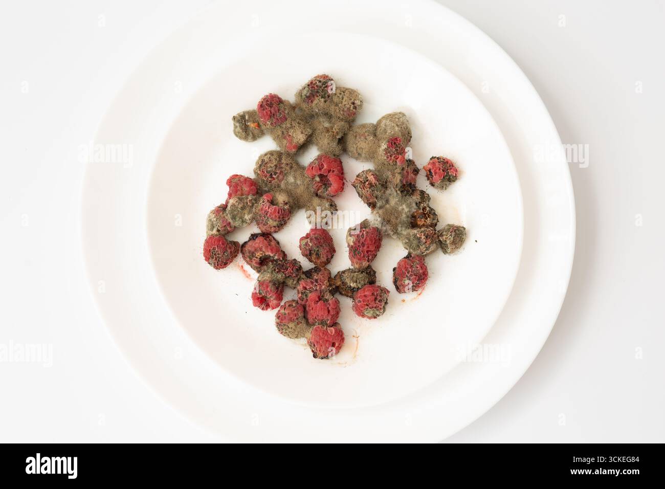 Expired raspberries plate hi-res stock photography and images - Alamy