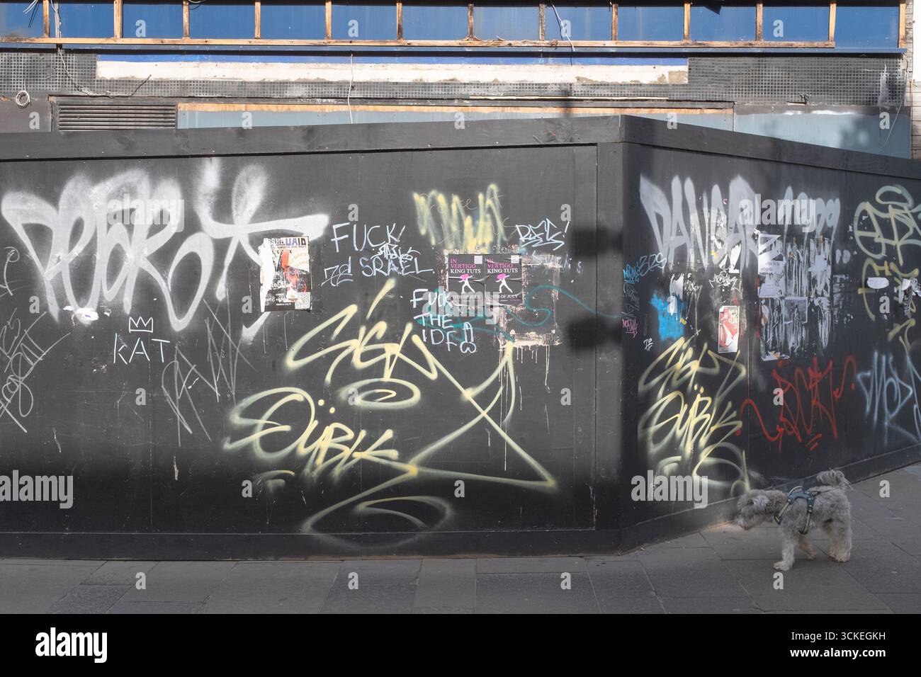 Israel idf dog hi-res stock photography and images - Alamy