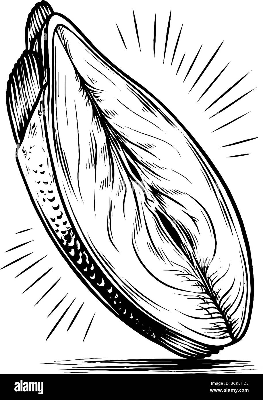 Print engraving technique Stock Vector Images - Alamy