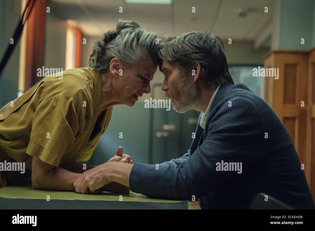 Steve Tracey Ullman & Cillian Murphy Stock Photo - Alamy