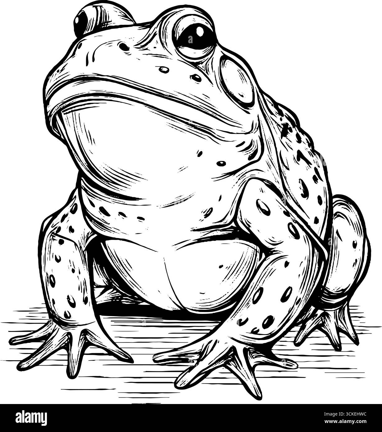 Vintage frog illustration with bold black lines – retro hand-drawn ...