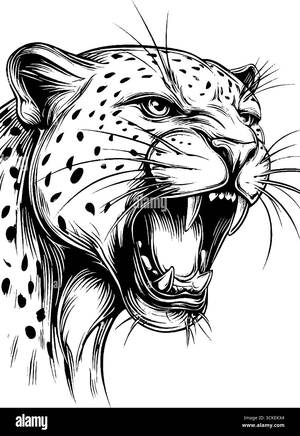 Bold engraved leopard head illustration in black and white Stock Vector ...
