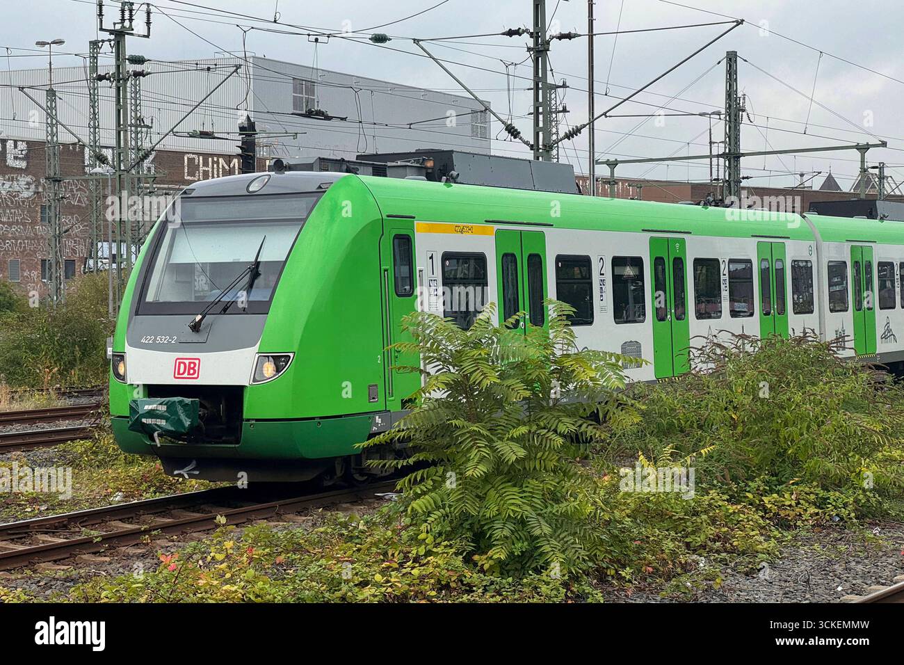 S-Bahn Rhein-Ruhr,Zug, *** S Bahn Rhein Ruhr,train Stock Photo - Alamy