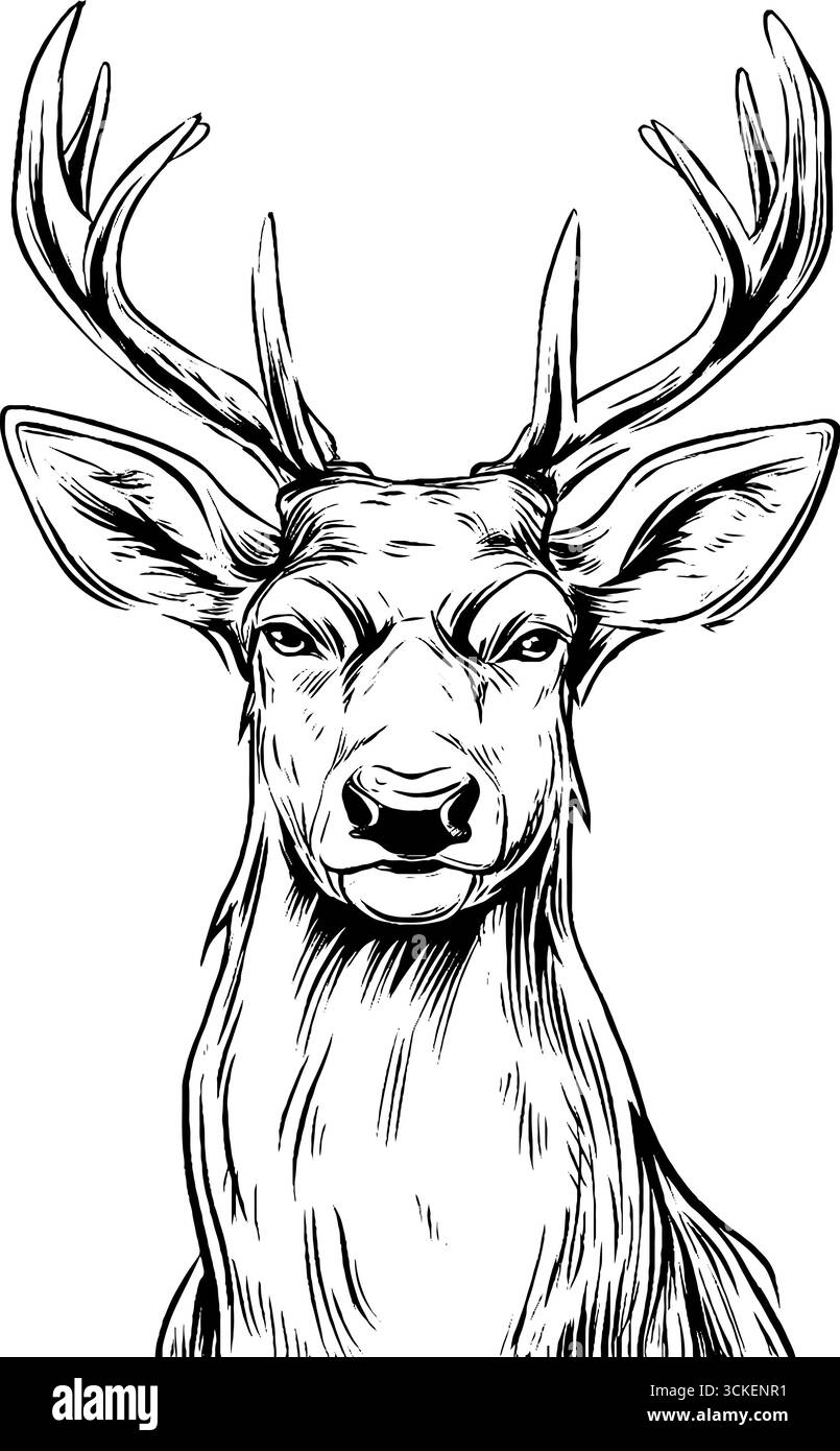 Vintage engraved stag head illustration for retro design Stock Vector ...