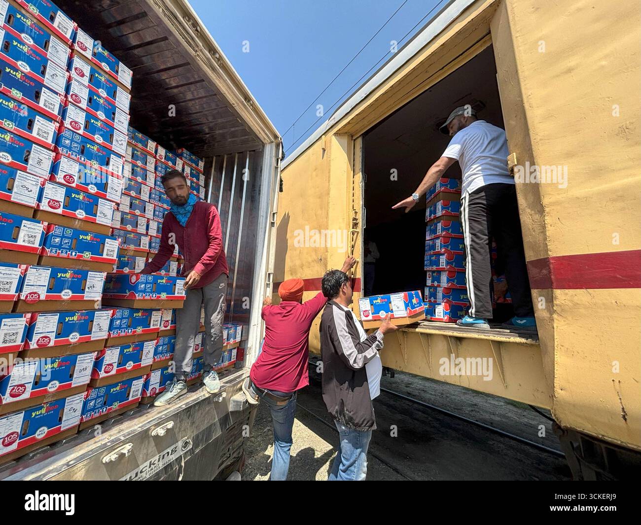 BUDGAM, INDIA - SEPTEMBER 11: Laborers loading the boxes of apples in ...