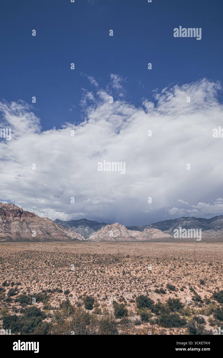 Barrel cactus rocky landscape hi-res stock photography and images - Alamy