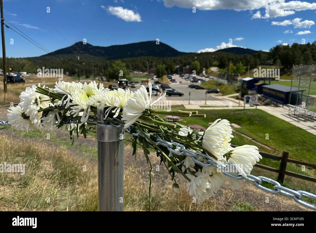 Flowers are left in remembrance of those wounded in a shooting at ...