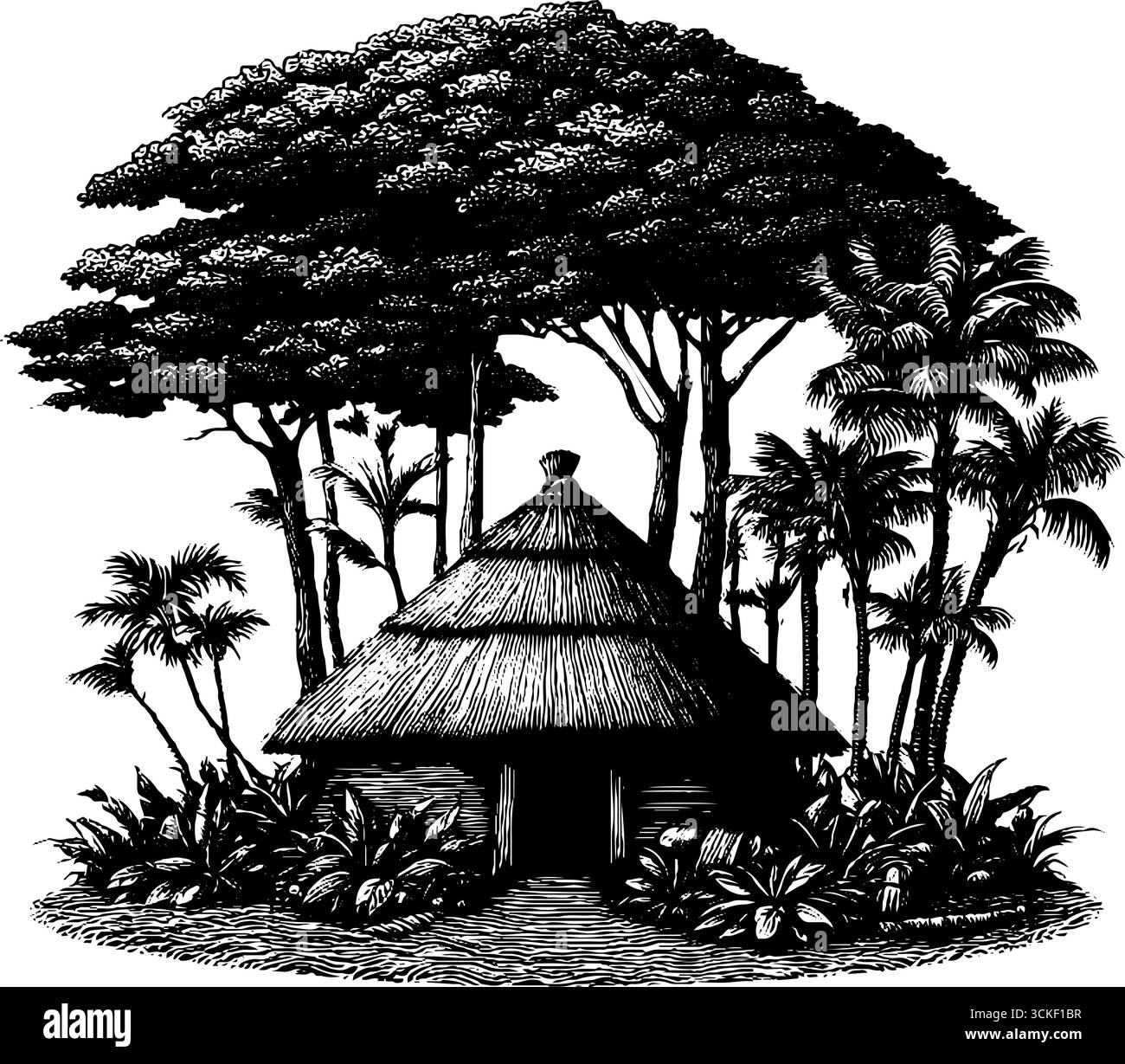Tribal jungle hut engraving with lush trees and dense foliage - design ...