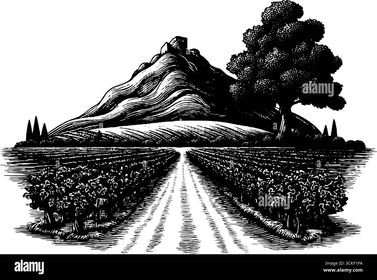 Engraved vineyard hill scene with majestic tree and pathway Stock ...