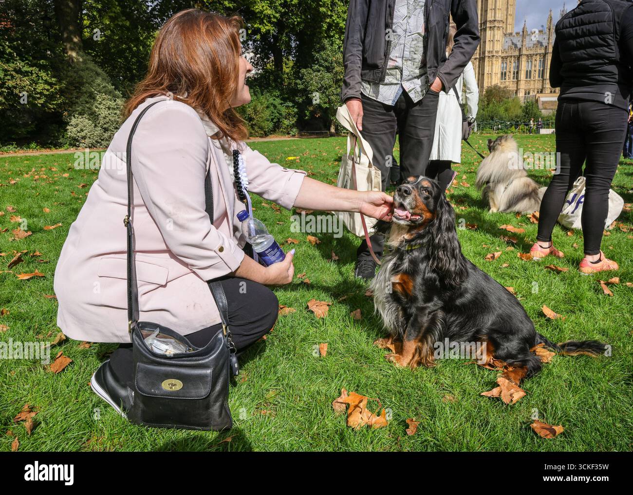 Michelle boxer hi-res stock photography and images - Alamy