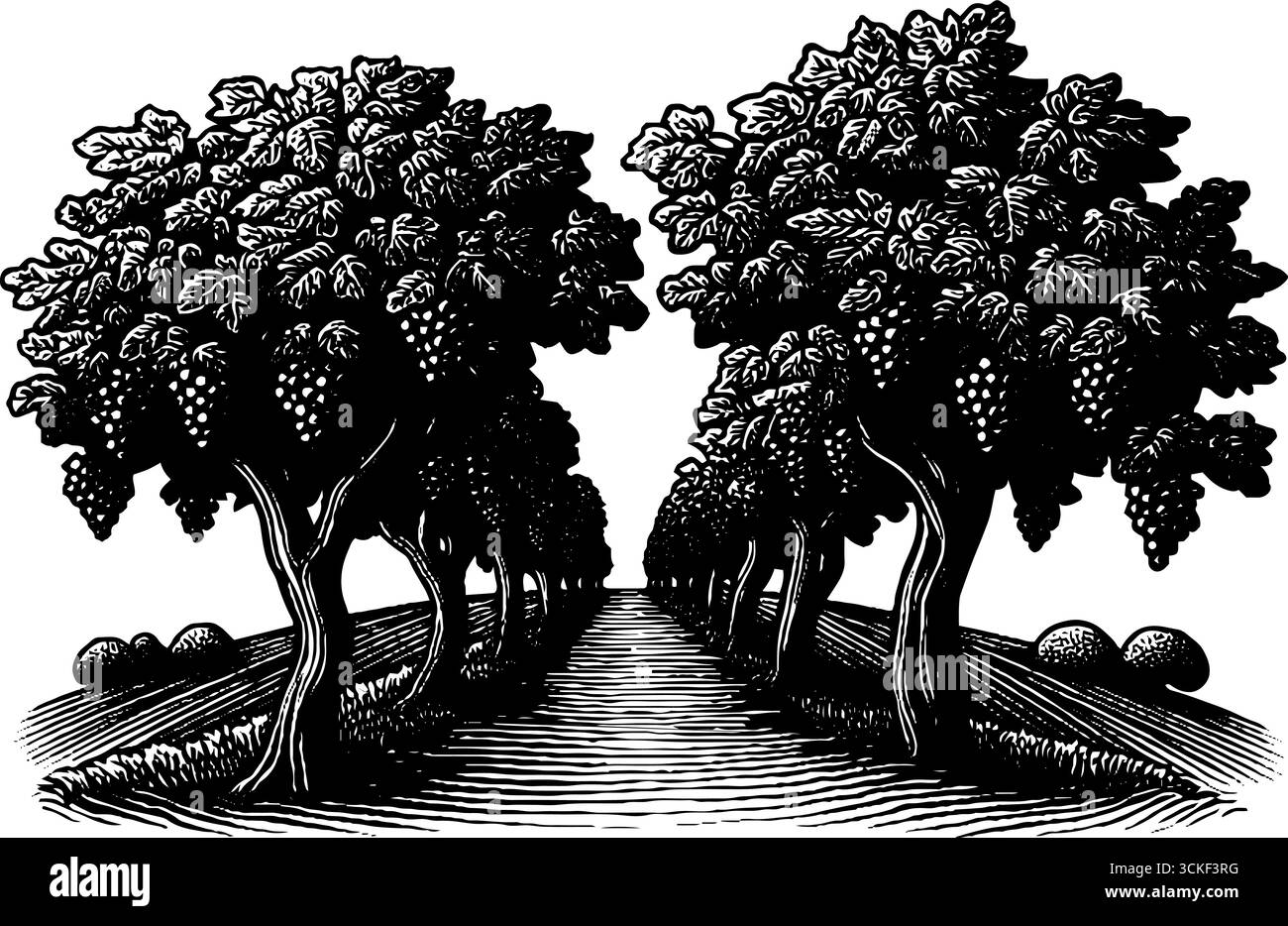 Picturesque rural scene in Cut Out Stock Images & Pictures - Alamy