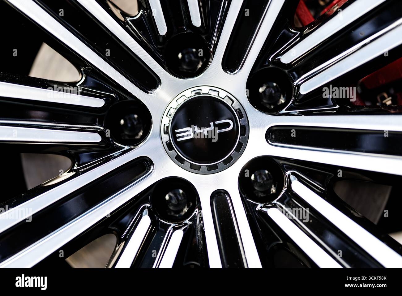 11 September 2025, Bavaria, Munich: The BYD brand logo (brand, logo ...