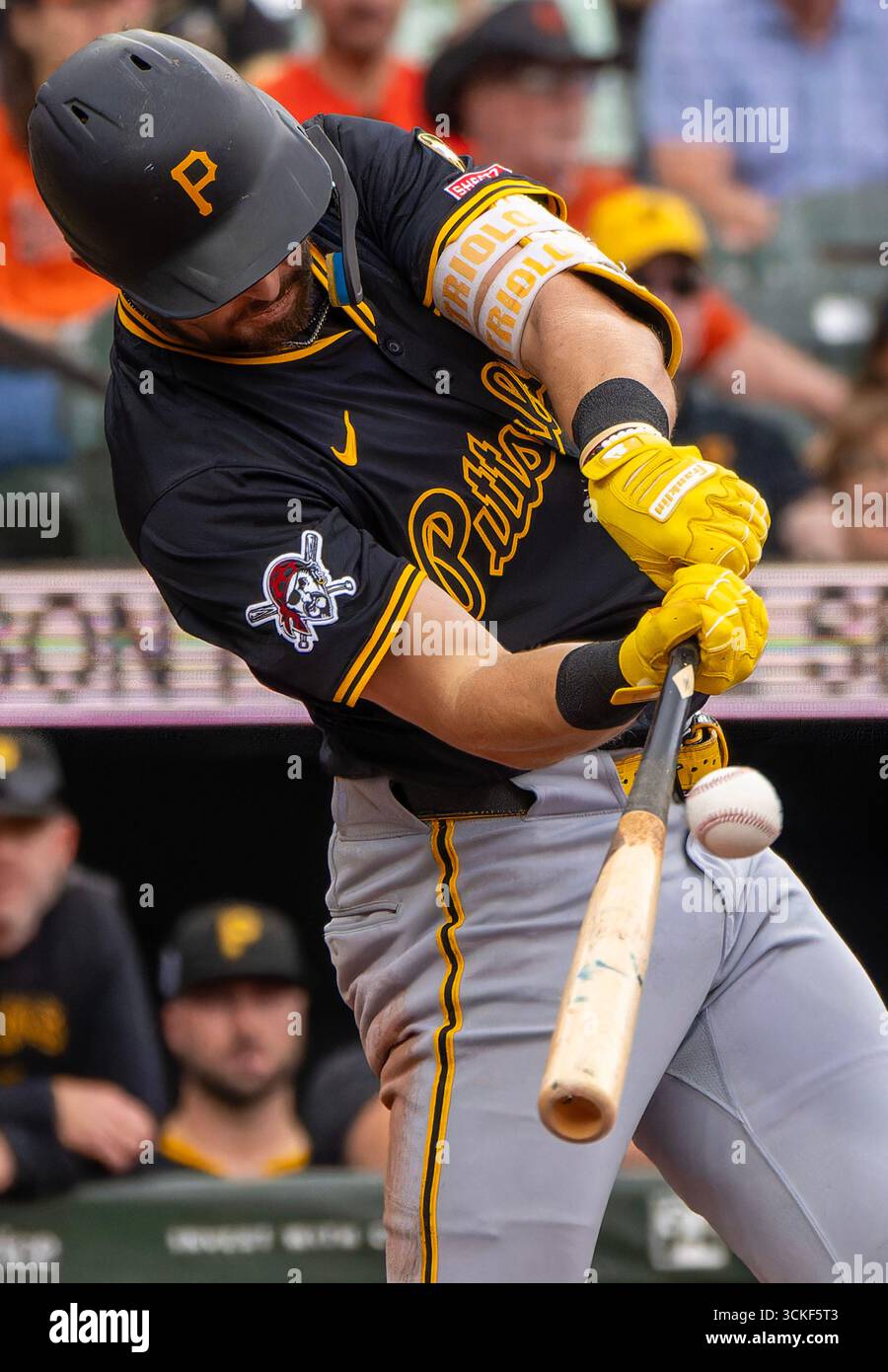 BALTIMORE, MD - SEPTEMBER 11: Pittsburgh Pirates shortstop Jared Triolo ...