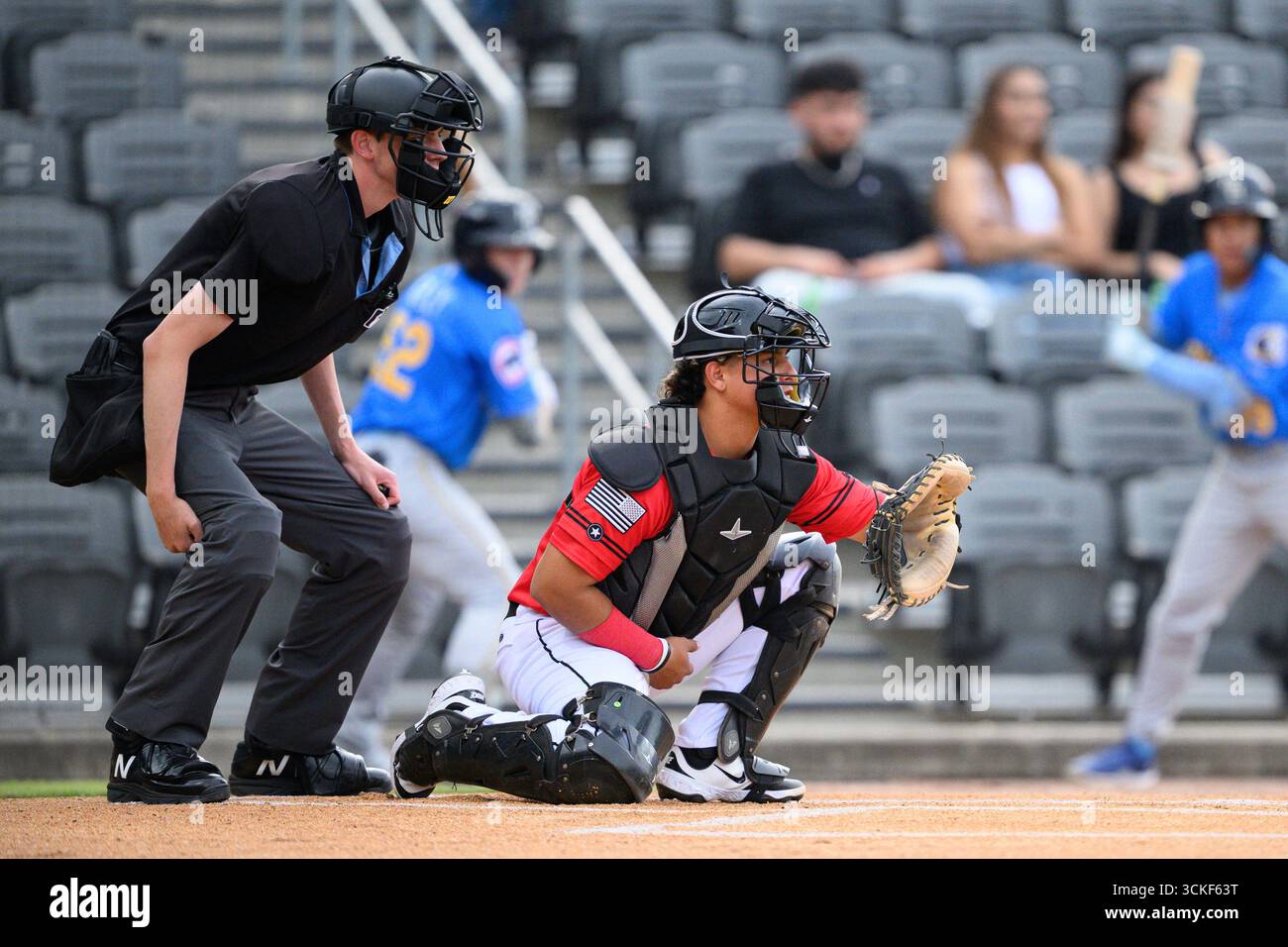 Catcher Yosweld Vasquez (4) of the Fayetteville Woodpeckers in action during a Carolina League ...