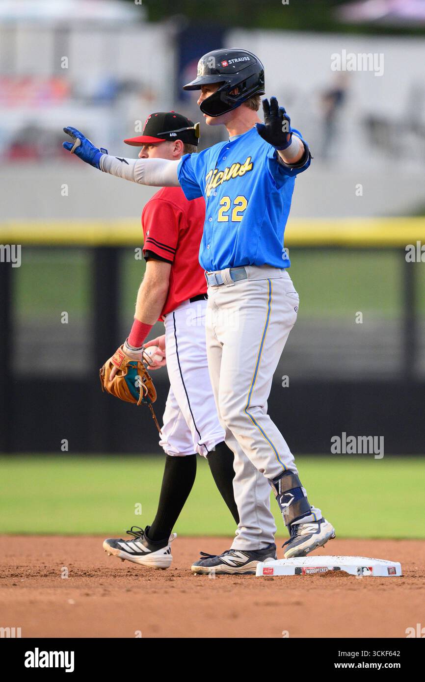 Matt Halbach (22) of the Myrtle Beach Pelicans calls for time during a ...