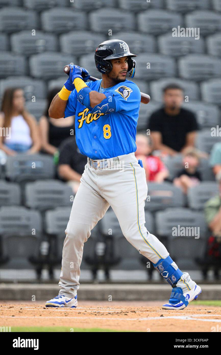 Angel Cepeda (8) of the Myrtle Beach Pelicans at bat during a Carolina ...