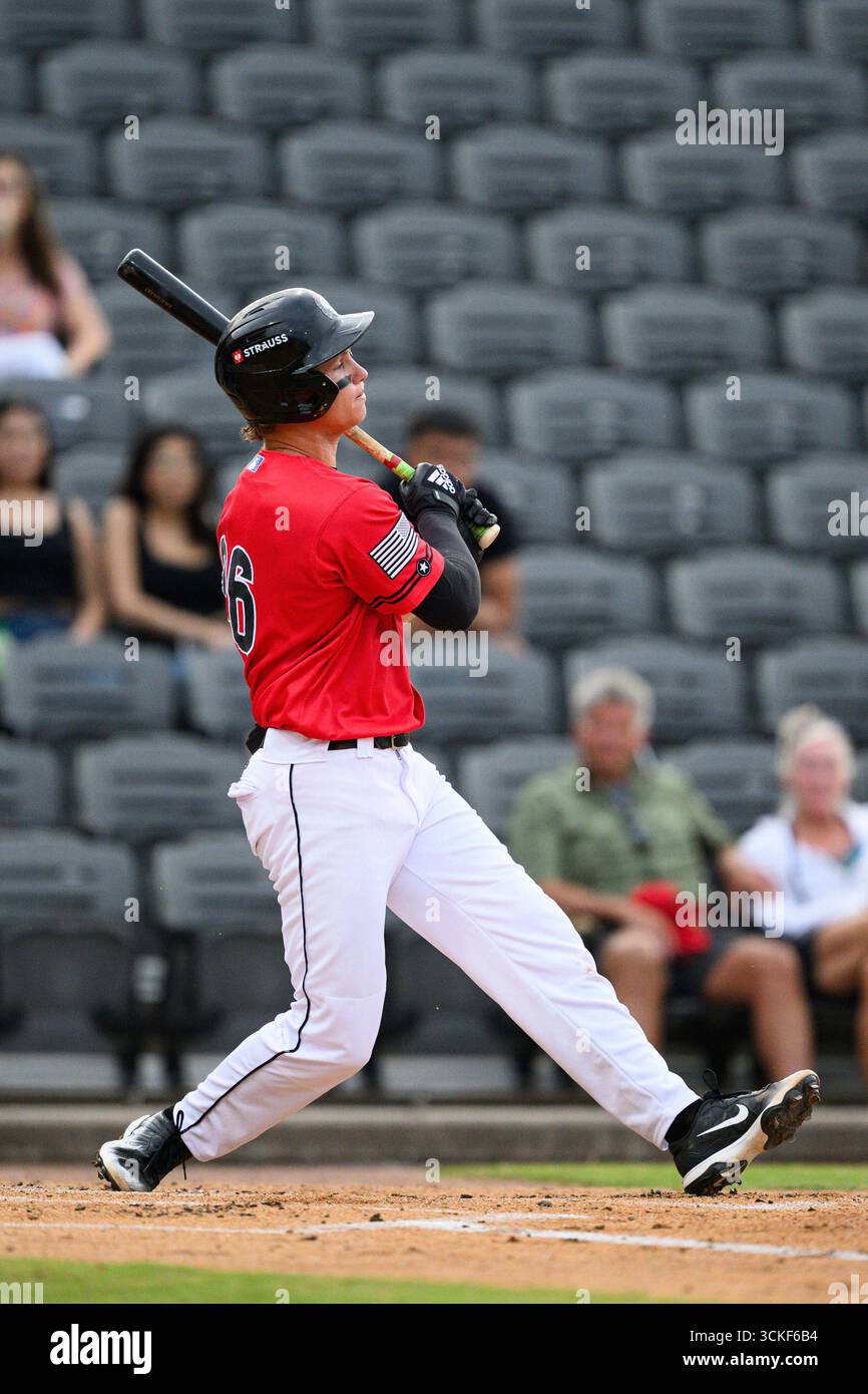 Zach Daudet (26) of the Fayetteville Woodpeckers at bat during a Carolina League baseball game ...