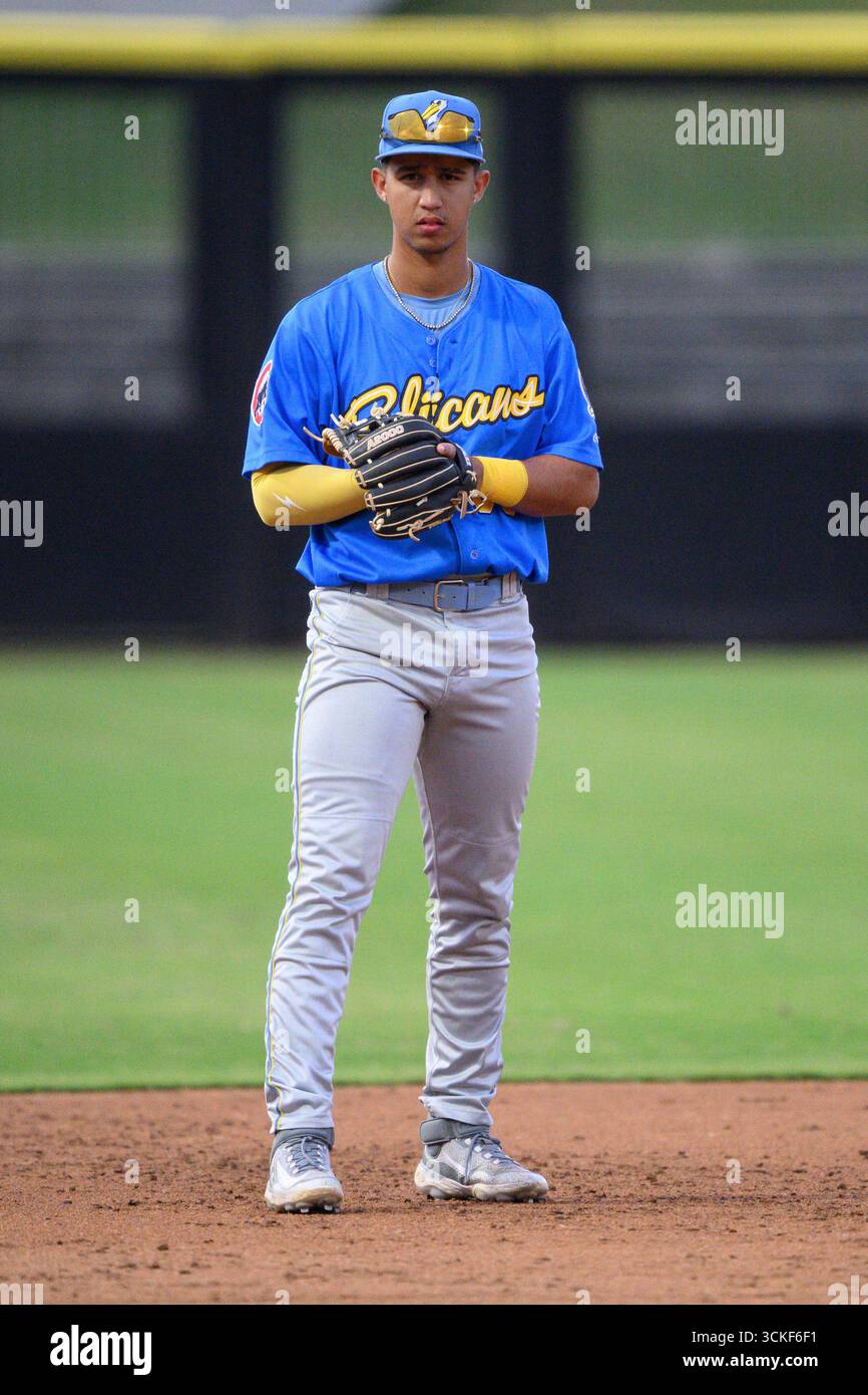 Third baseman Yahil Melendez (53) of the Myrtle Beach Pelicans in action during a Carolina ...