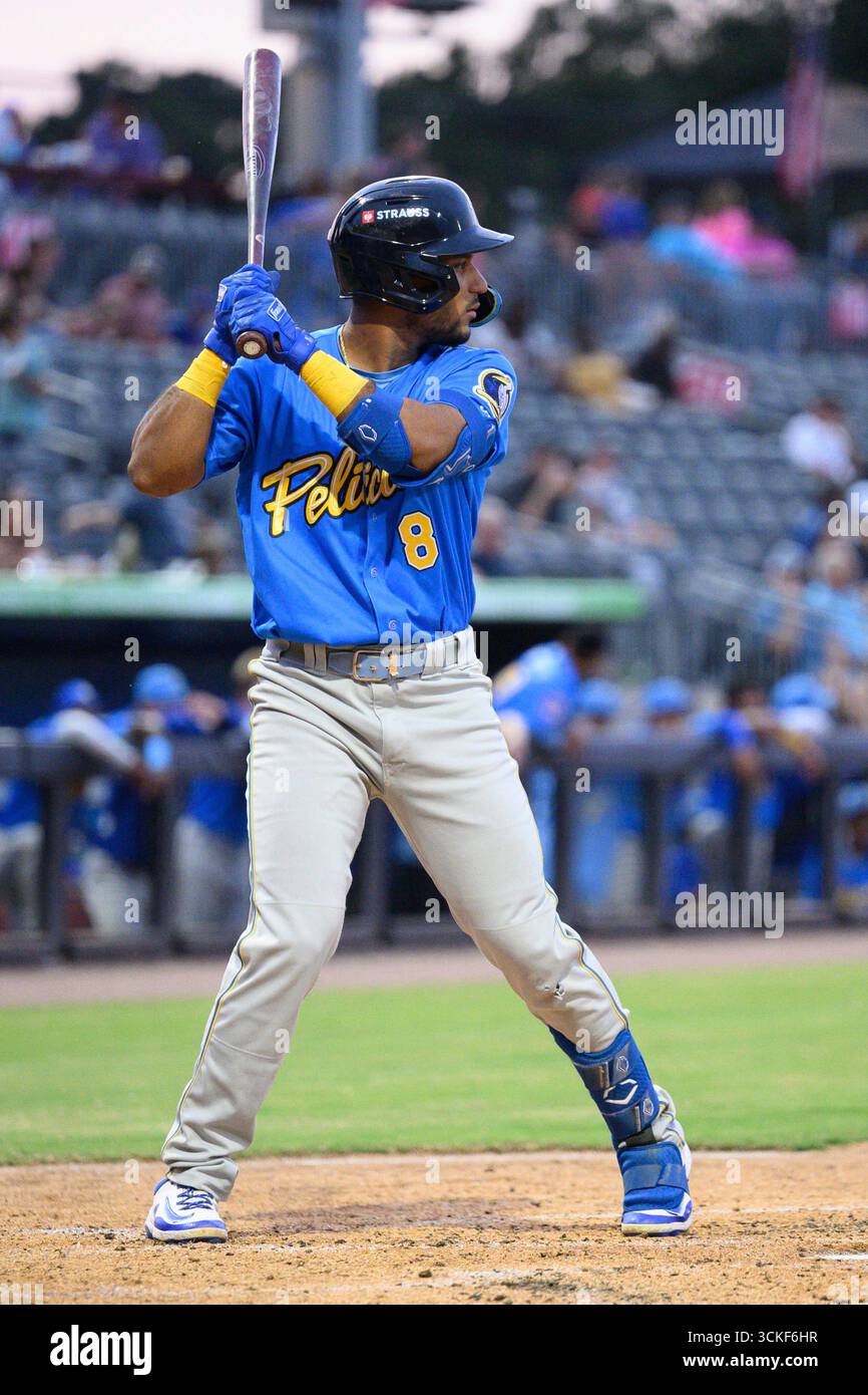 Angel Cepeda (8) of the Myrtle Beach Pelicans at bat during a Carolina ...